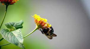 unwrappable gifts | Annalog